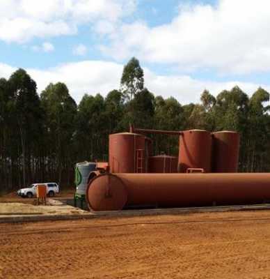 Swazi Poles' business is set to soar - Sawmilling in South Africa